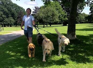 Puppy Training Lancashire | Dog Trainer Chorley & Leyland