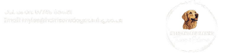 Puppy Training | Dog Trainer & Behaviourist Chorley