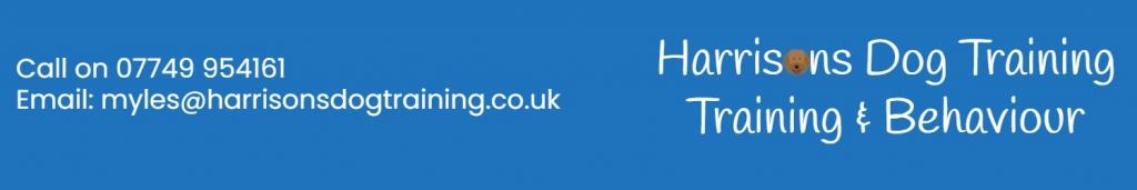 Puppy Training | Dog Trainer & Behaviourist Chorley
