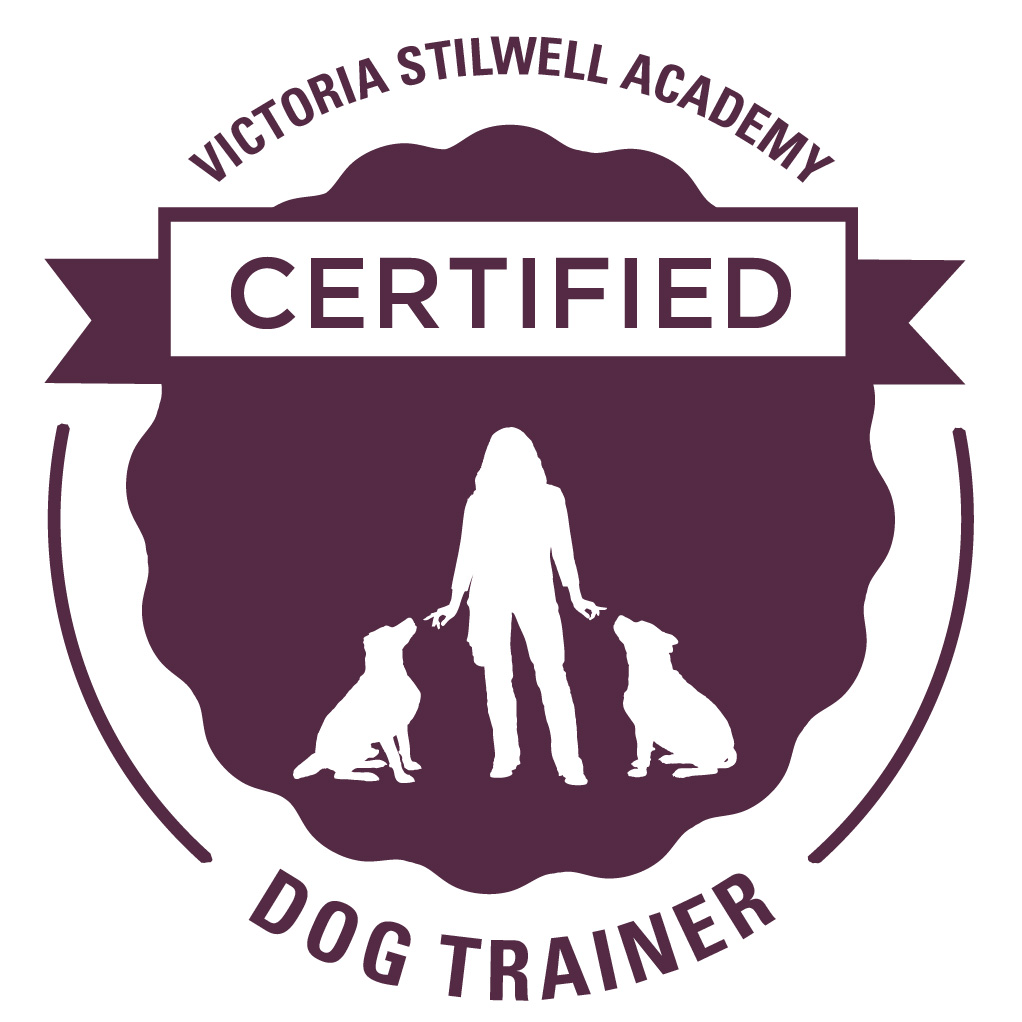 Puppy Training Chorley | Dog Trainer West Lancashire